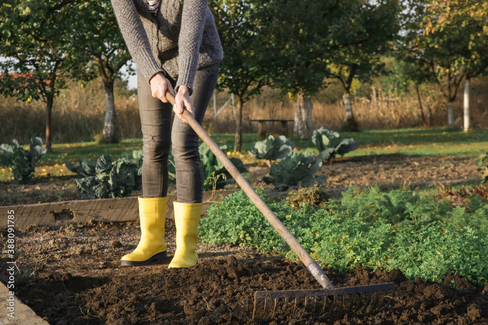 Woman in yellow rubber boots working in garden with rake leveling ...