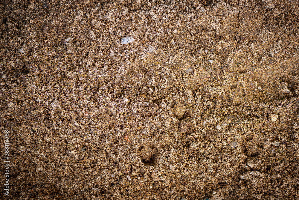 Detailed texture of coarse sand, top view. Important material in ...
