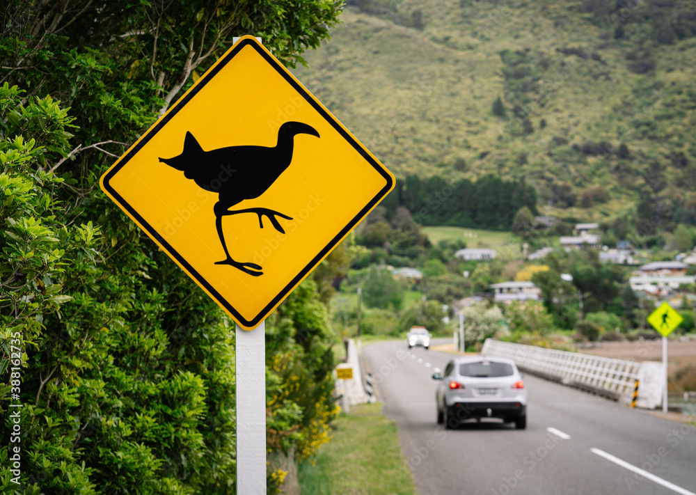 Foto de Road sign warning the presence of Pukeko, native bird in New ...