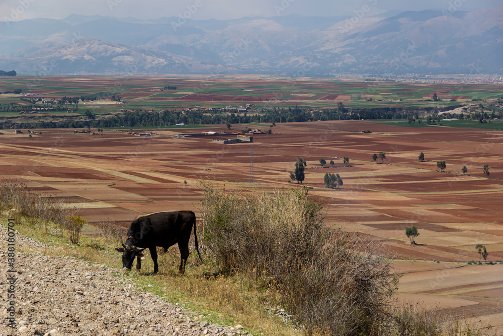 Paisaje típico de la sierra del Perú Stock Photo | Adobe Stock