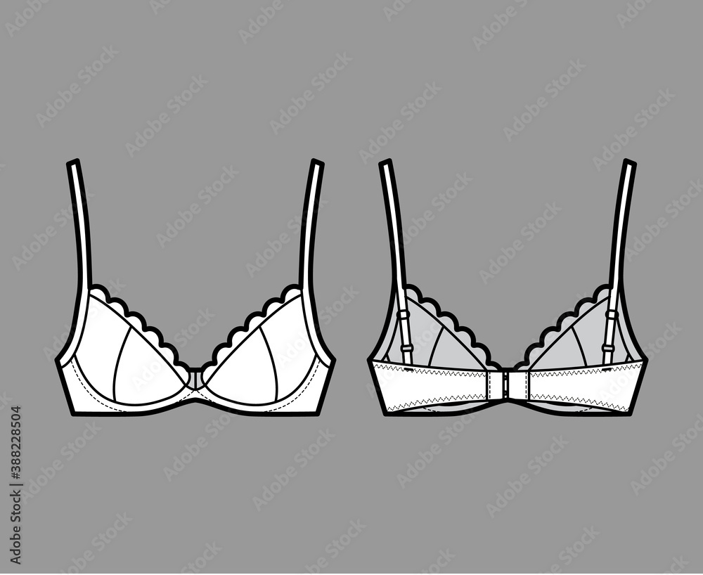 Bra scalloped cups lingerie technical fashion illustration with full ...