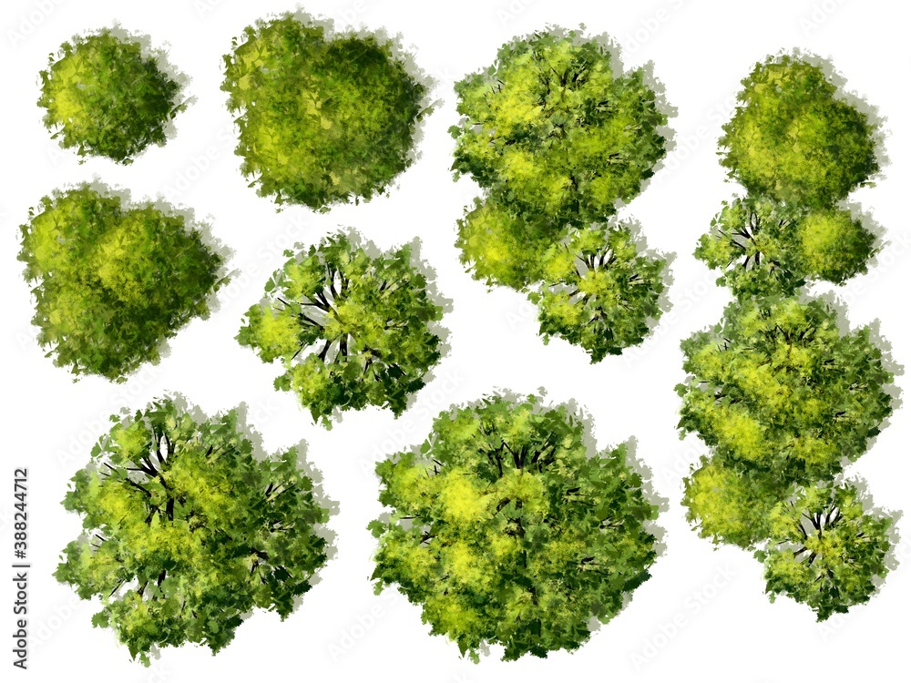 Collection of abstract watercolor green tree top view isolated on white ...