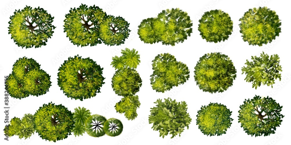 Collection of abstract watercolor green tree top view isolated on white ...
