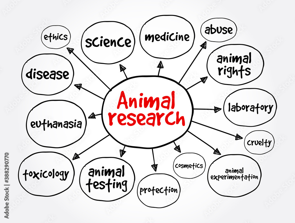 Animal research mind map, concept for presentations and reports Stock ...