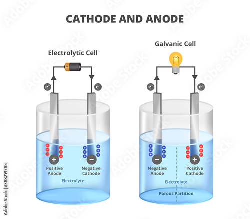 Fototapeta Vector scientific illustration of the electrolysis processes ...