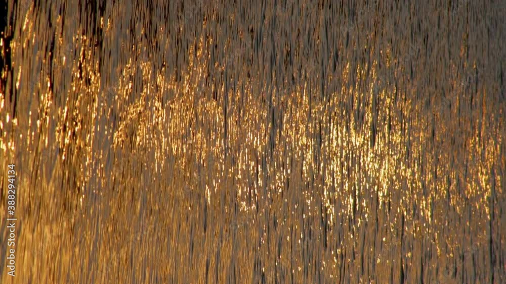 Gold Water surface texture, Slow motion ripples and wave, sun shine ...