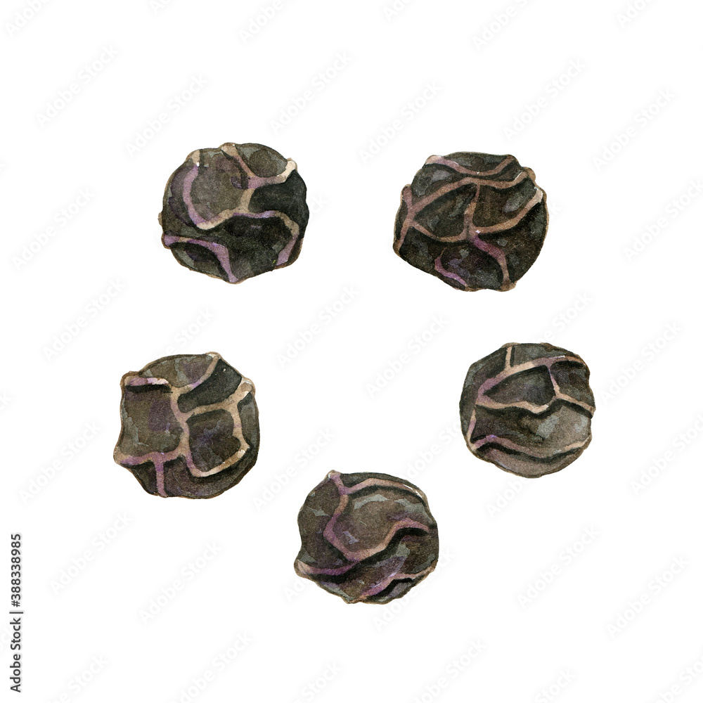 Watercolor black peper. Hand drawn set of dried pappercornes isolated ...