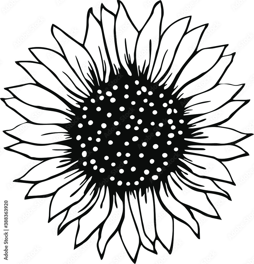 sunflower svg,sunflower clipart,sunflower cut file,sunflower vector ...