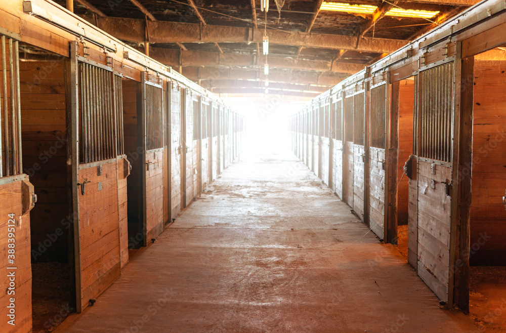 Beautiful Light In Horse Stables Barn On Farm Ranch Stock Photo | Adobe ...