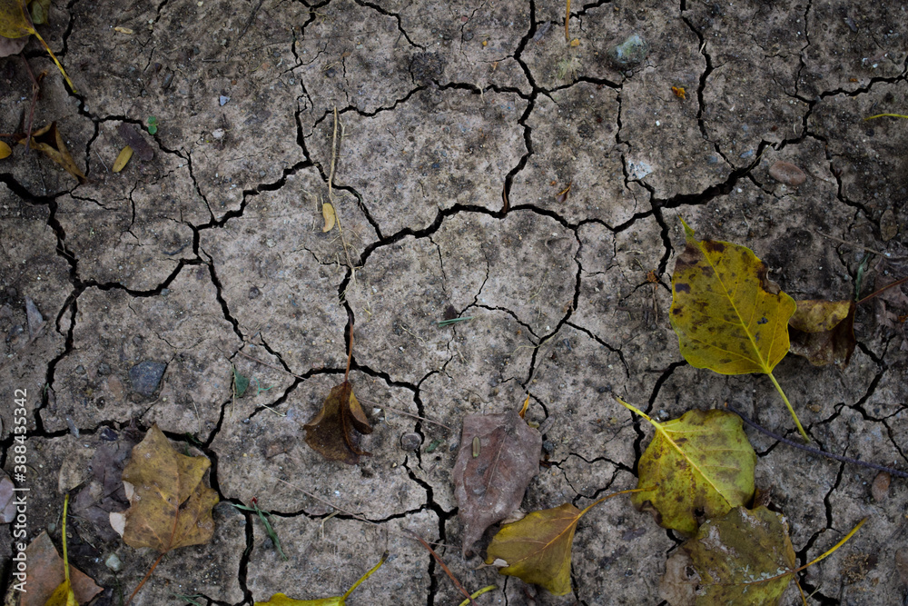Floor cracks with dryness and cracks and bird droppings. Stock Photo ...