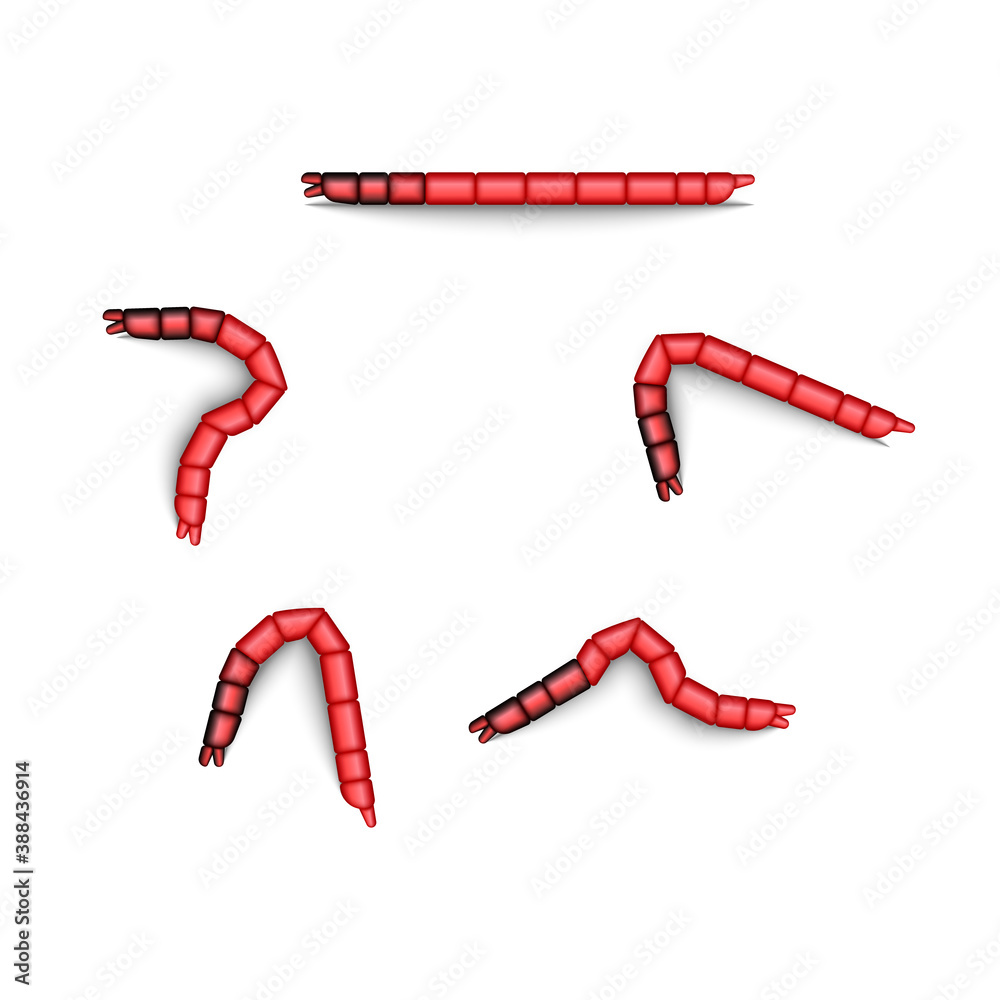 Bloodworm group animals isolated on white background, insect 3d ...