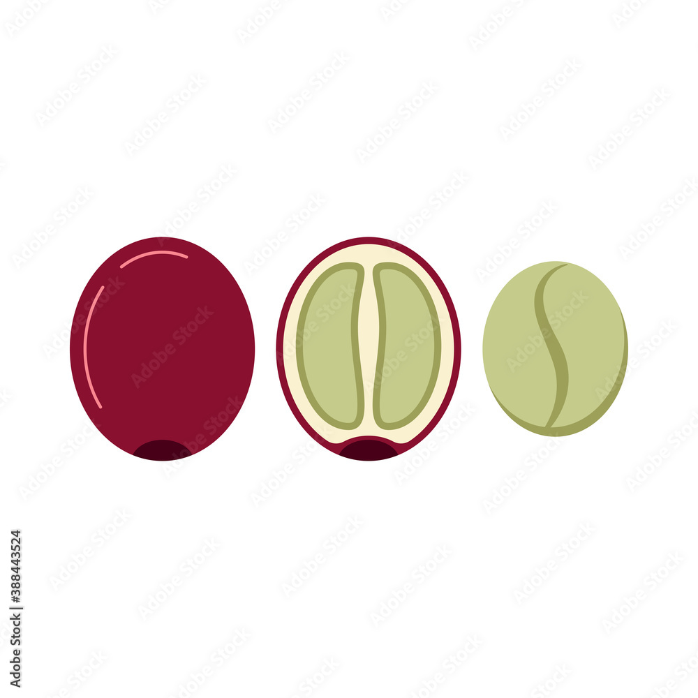 Coffee berry in section and without skin and pulp icon set isolated on ...