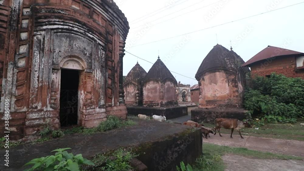 Animals passing through the ancient lord shiva temples at Maluti ...