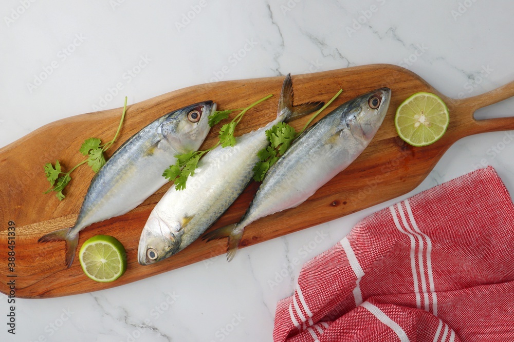 Uncooked Indian mackerel fish Rastrelliger kanagurta. also known as ...