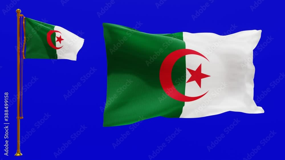 Flags of Algeria with Green Screen Chroma Key High Quality 4K UHD 60FPS ...