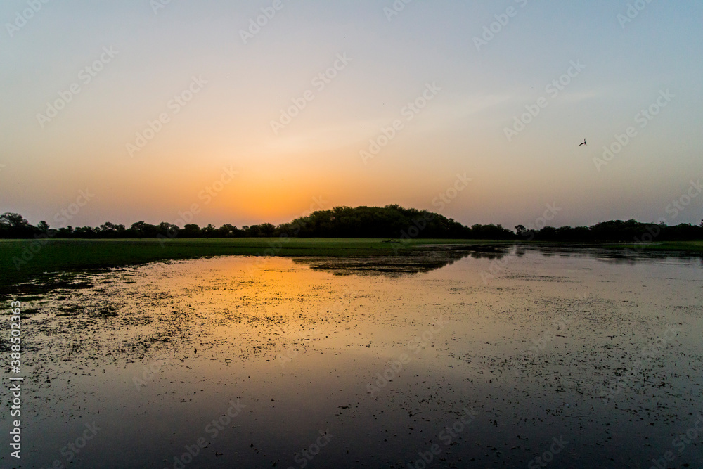Thol Lake, Ahmedabad Stock Photo | Adobe Stock