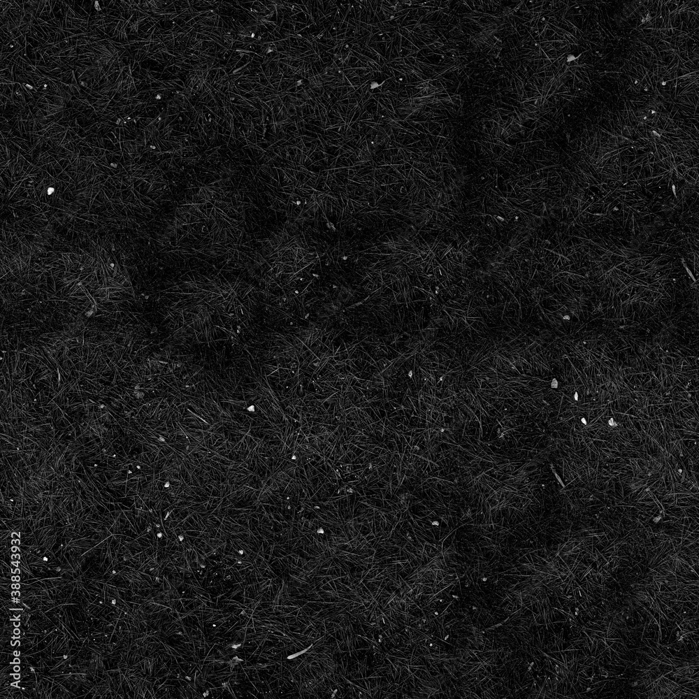 8K forrest ground roughness texture, height map or specular for ...