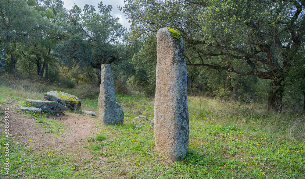 Menhir megalith stone in Sardinia Sardegna Italy big megalith stone ...
