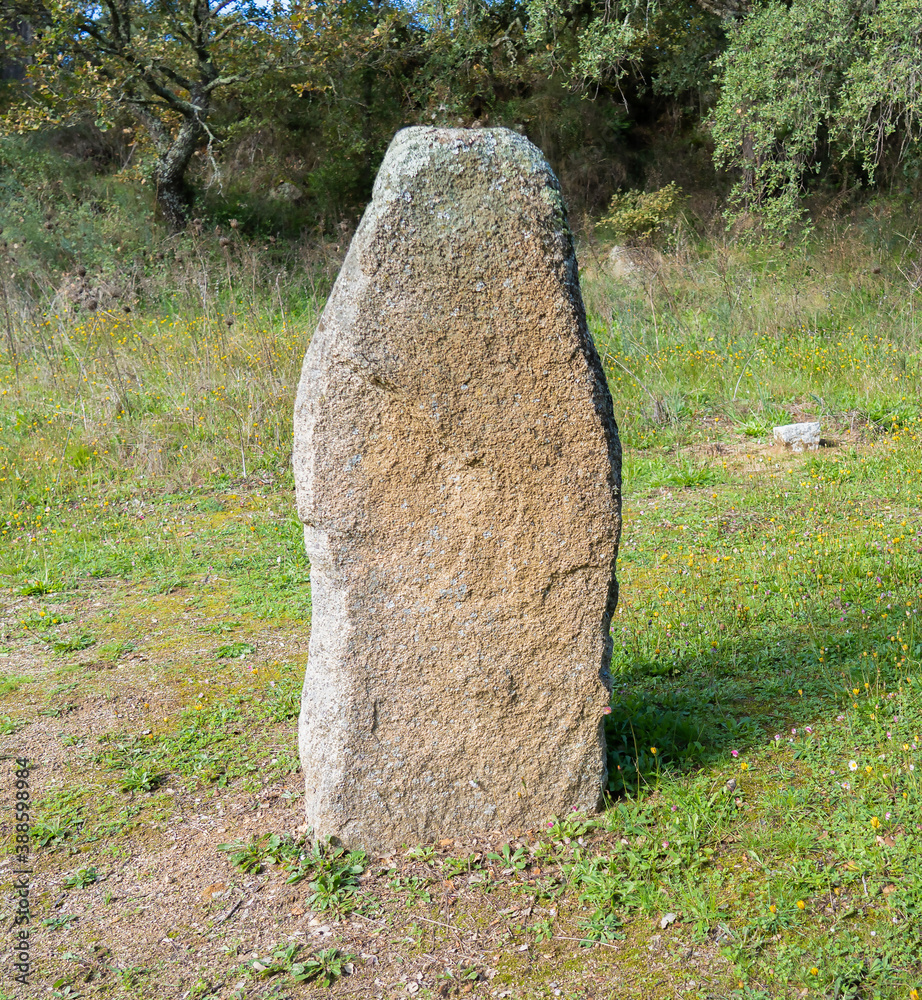Menhir megalith stone in Sardinia Sardegna Italy big megalith stone ...