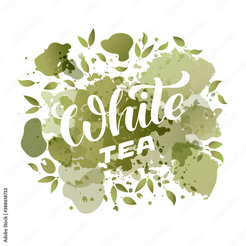 Vector illustration of white tea brush lettering for package, banner ...