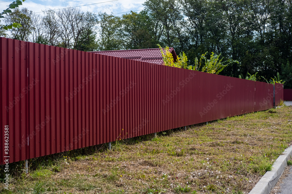 Red metal corrugated fence around the green garden. The texture of the ...