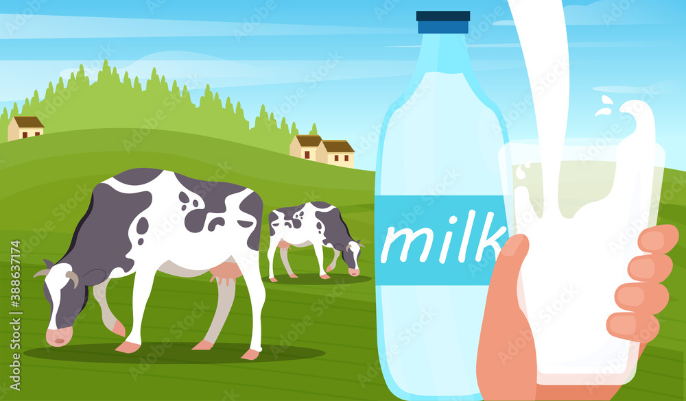 Concept of organic milk. Milk pouring with splashing in glass. Cow ...