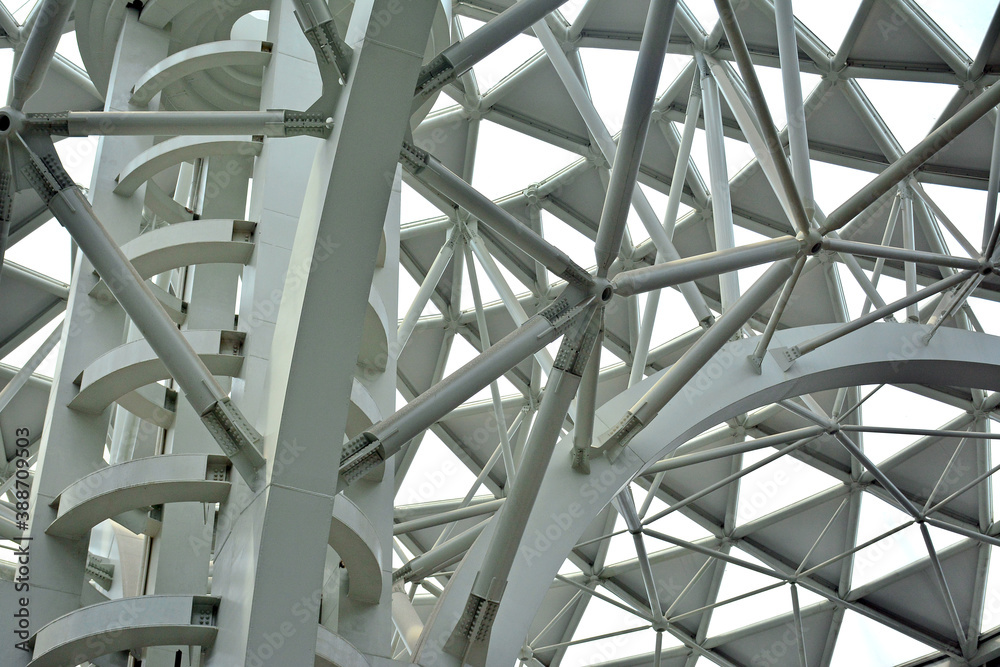 National museum of natural history tree of life structure details Stock ...