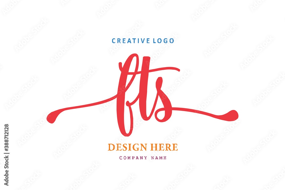 FTS lettering logo is simple, easy to understand and authoritative ...