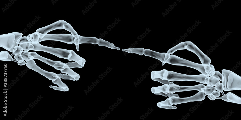 Two human hands pointing each other with index finger xray Stock ...
