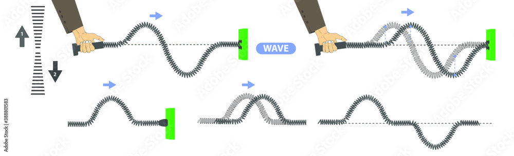 physics. spring stretched. transverse waves. longitudinal. The ...