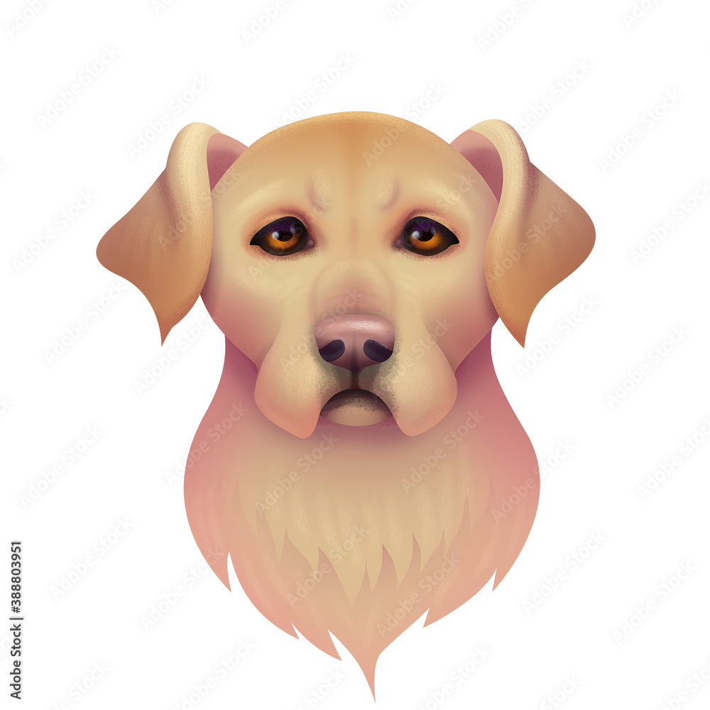 Raster illustration of cute cartoon golden labrador isolated on white ...