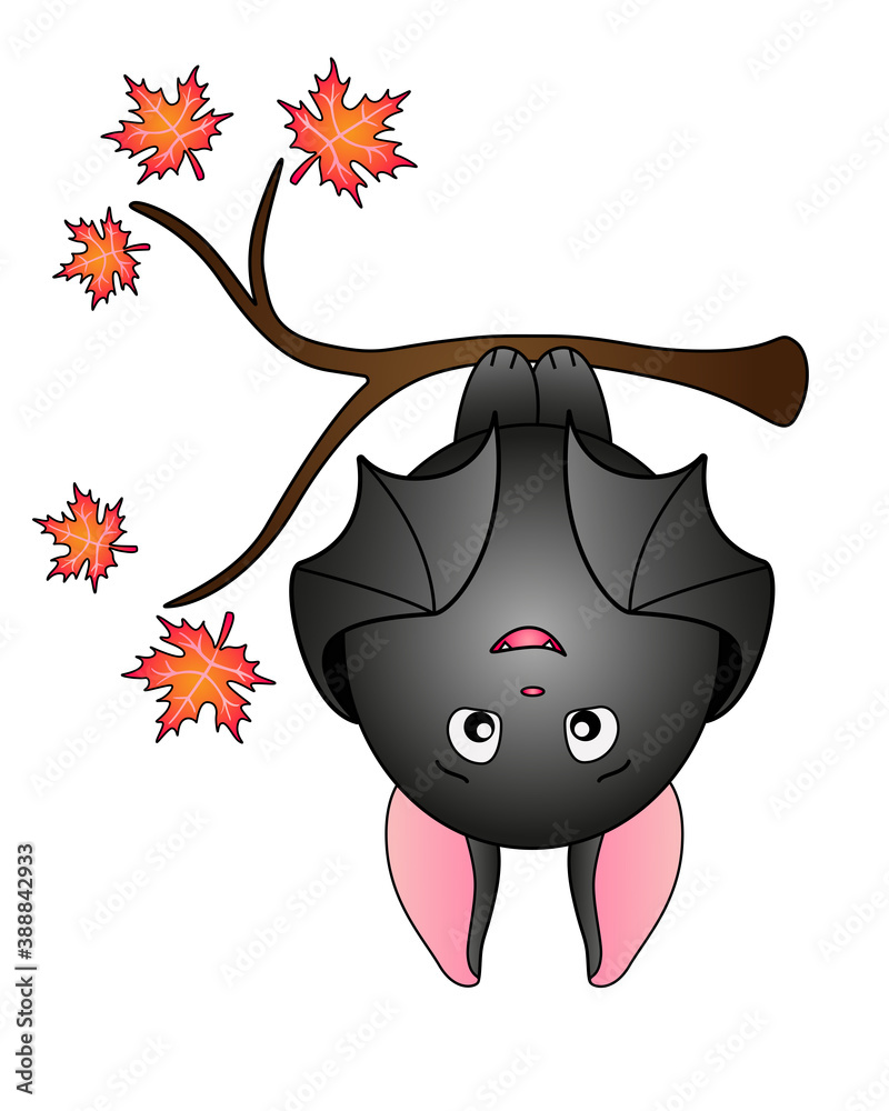 Cute fat bat hangs upside down on a maple branch - vector full color ...