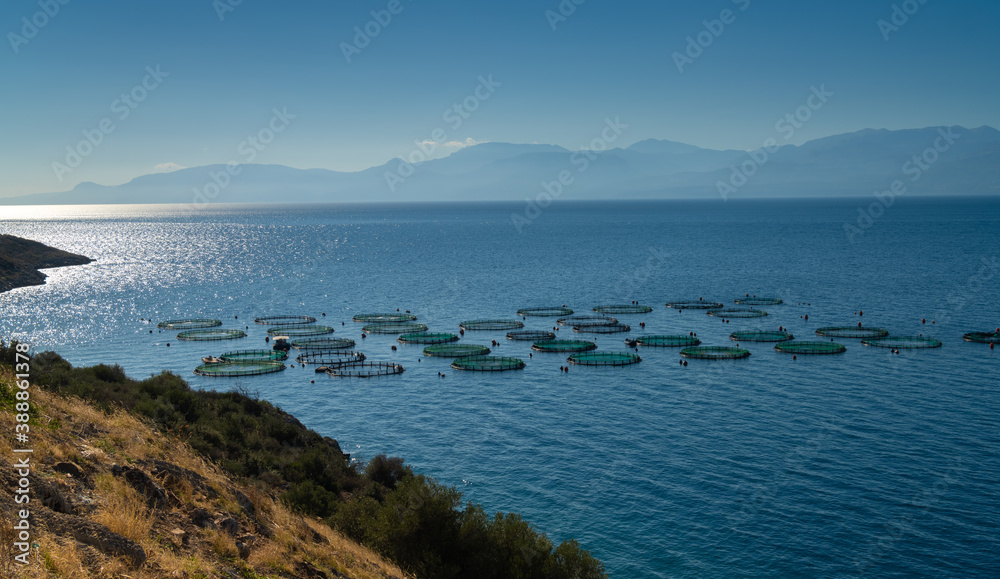 Fish farms in the midst of beautiful coastal scenes along the shores of ...