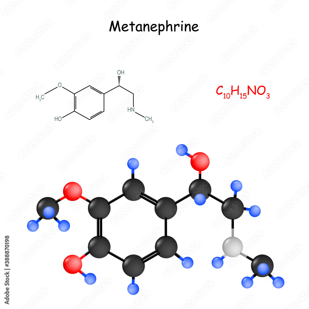 Metanephrine. Chemical structural formula and model of molecule. Stock ...