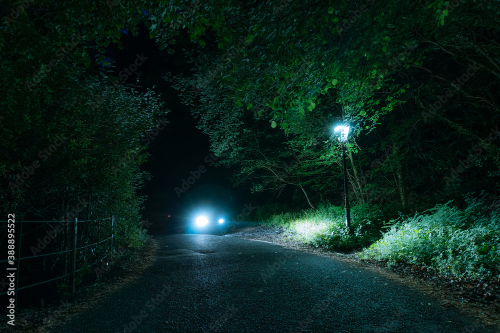 A car parked under a street light on a mysterious forest road Stock ...