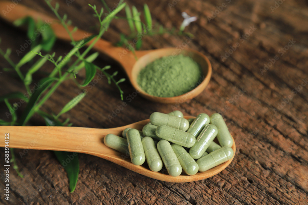 Medicine herbal powder capsules from Andrographis paniculata leaf and ...