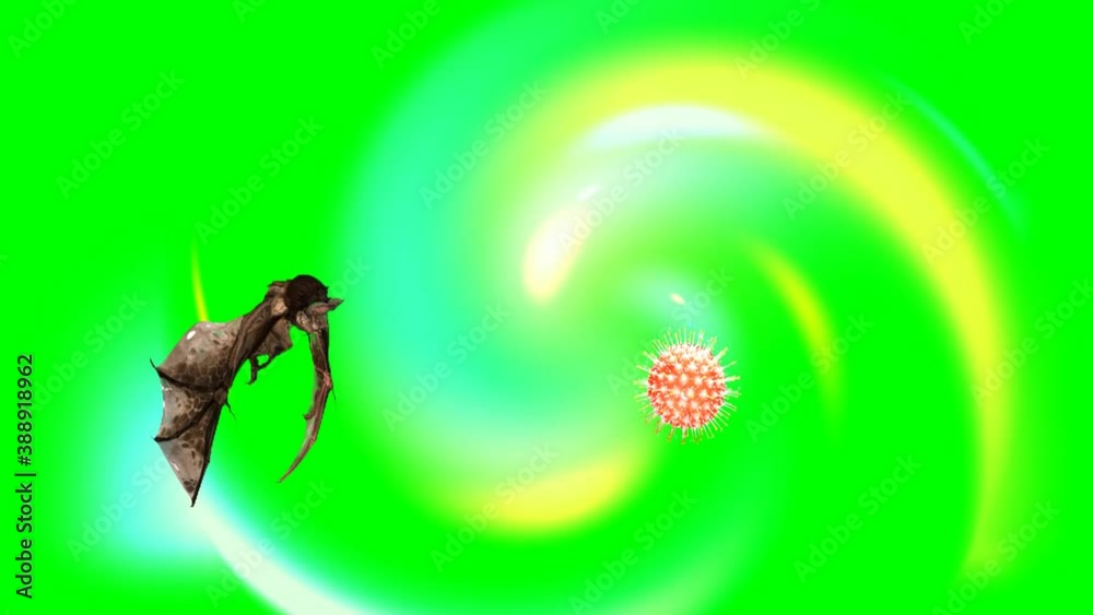 3d animation a Bat flies with possible connections to the spread of ...