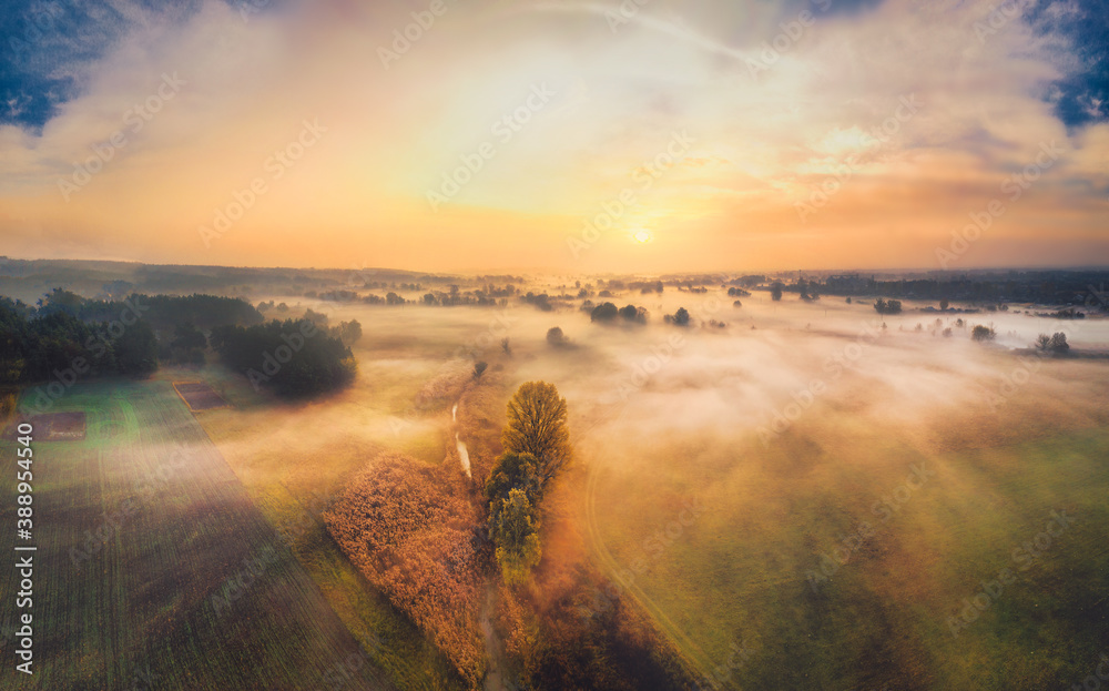 Dawn calm village landscape - autumn trees over the river in clouds of ...