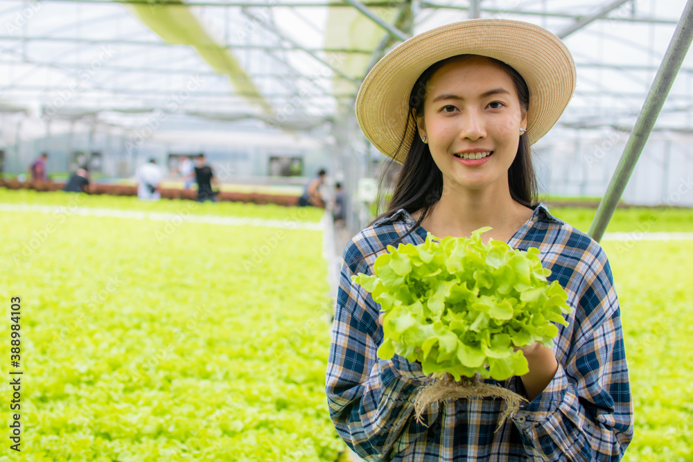 Beauty Asian woman farmer owner with smile holding hydroponic ...