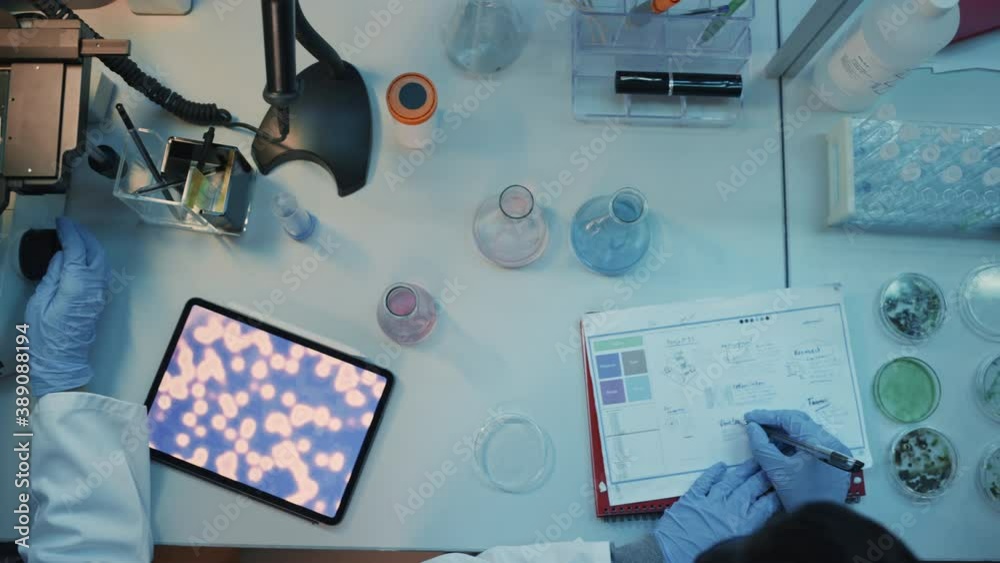 Above the Head Camera Footage of Medical Research Scientists in Blue ...