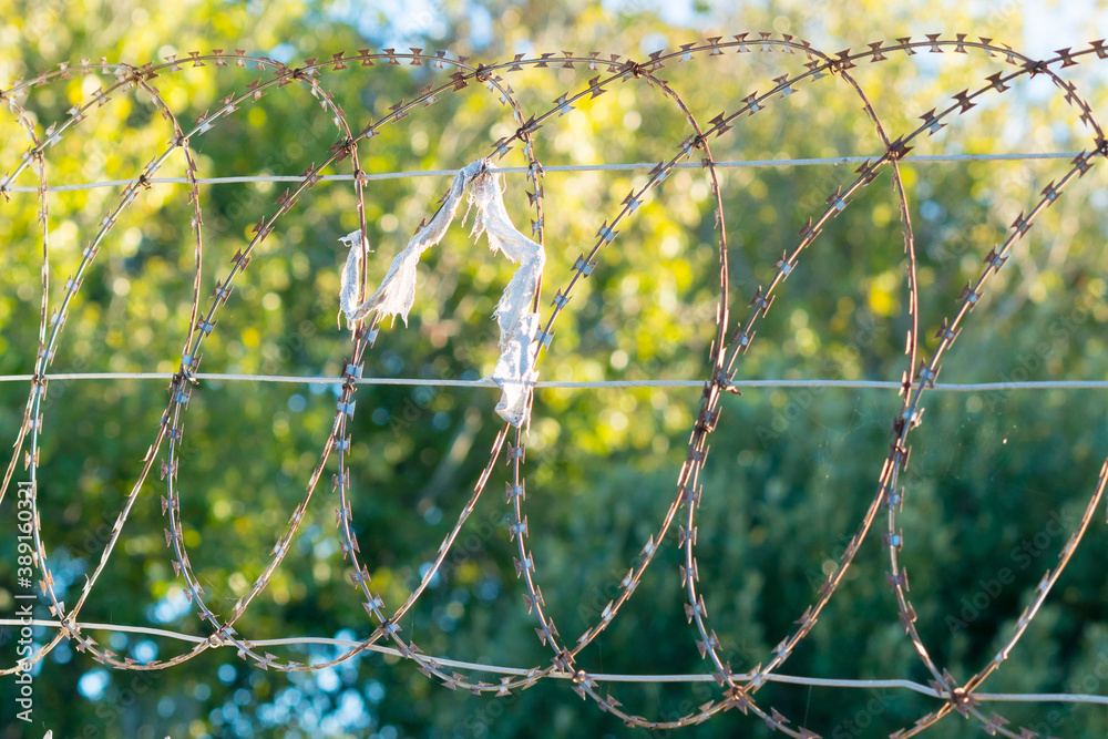 razor wire closeup on the top of a high wall with material caught in it ...