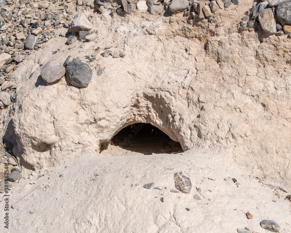 Foto de The burrow of the threatened desert tortoise (Gopherus ...