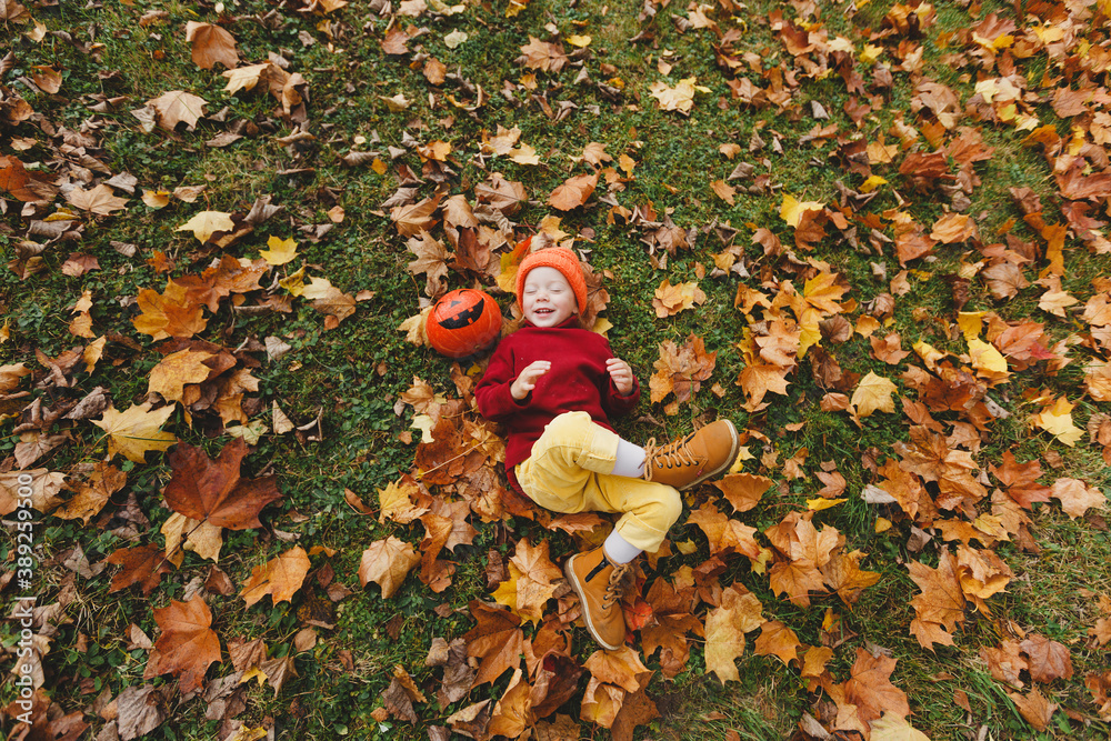 the girl lies on her back on the yellow autumn leaves with a large ...