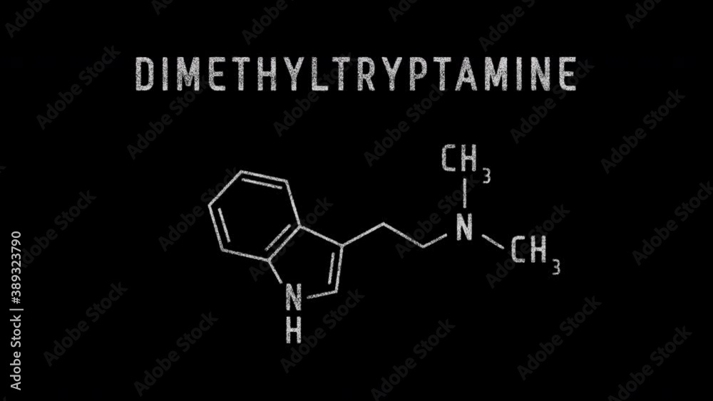 DMT or Dimethyltryptamine Molecular Structure Symbol Sketch or Drawing ...