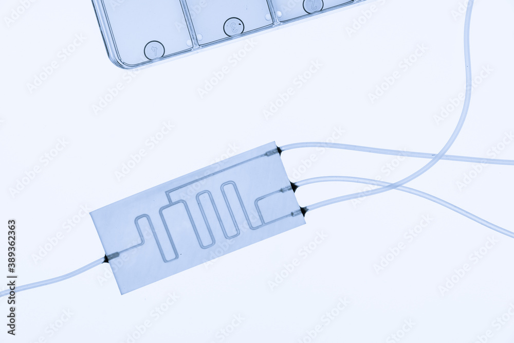 Organ on chip OOC and lab on chip LOC - microfluidic device chip that ...