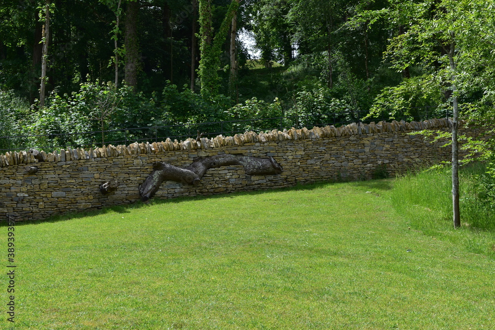 A beautiful dry stone wall with an architectural tree built through it ...