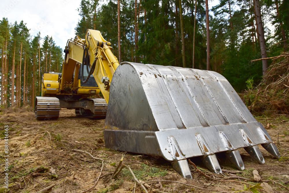 Excavator clearing forest for new development and road work. Backhoe ...