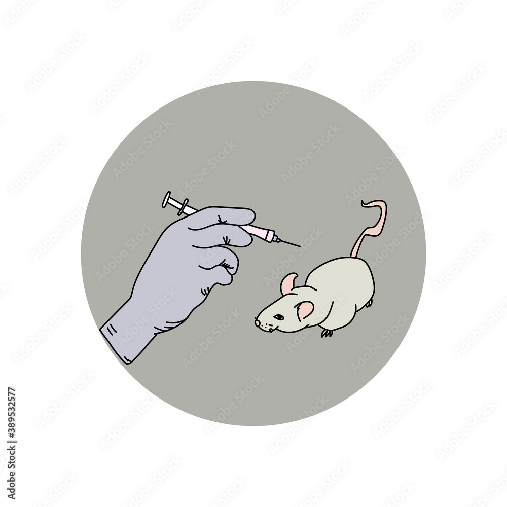 Injection of a laboratory mouse, research of a vaccine or medicine on ...
