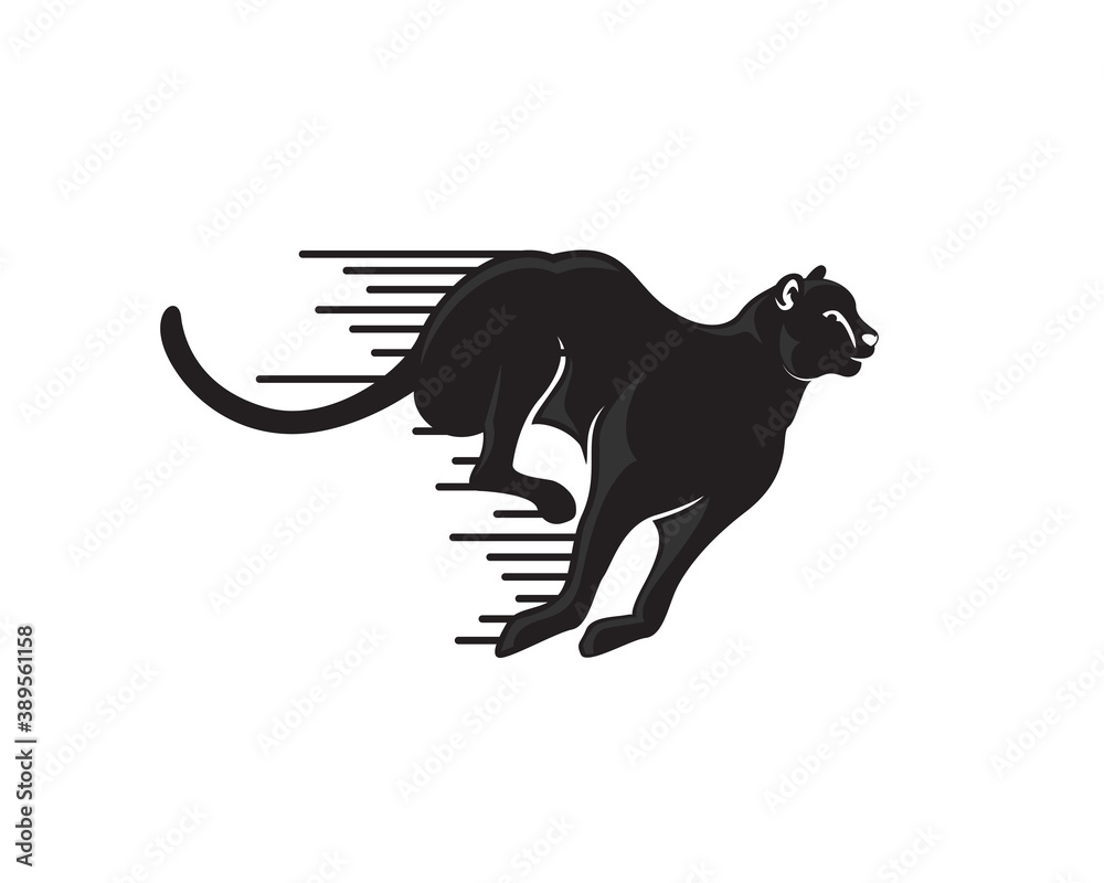 Black Jaguar Running