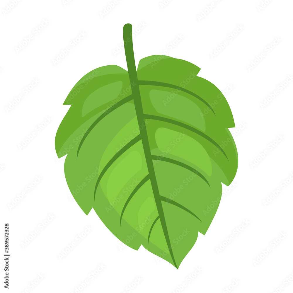 Mint leaf cartoon vector icon.Cartoon vector illustration fresh ...